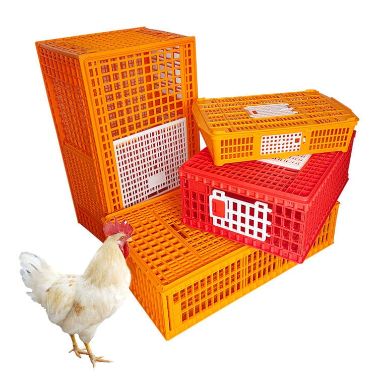Turkey transport cage - Cangzhou Phoenix Breeding Equipment Co., Ltd ...