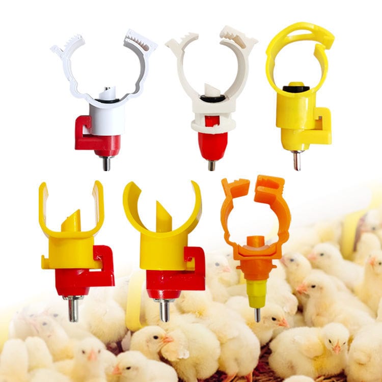 Poultry nipple drinker - Cangzhou Phoenix Breeding Equipment Co., Ltd ...