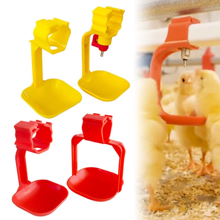 Chicken drip cup - Cangzhou Phoenix Breeding Equipment Co., Ltd. - plastic