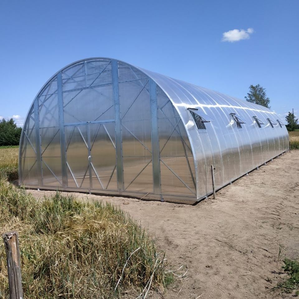 Tunnel type greenhouse - ECM 7 - Ecoslider Greenhouses and PremiFarm ...