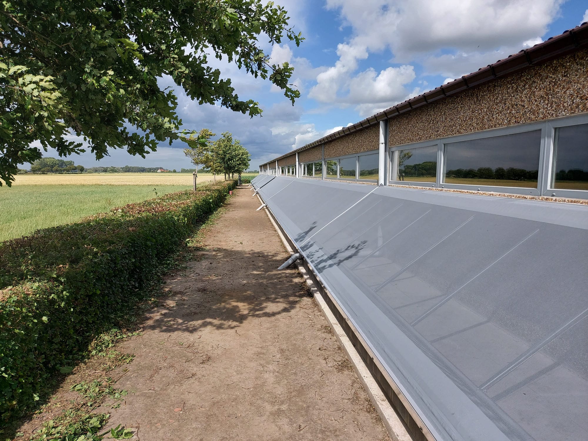Pig barn ventilation system - Vervaeke - barn / mechanical / natural
