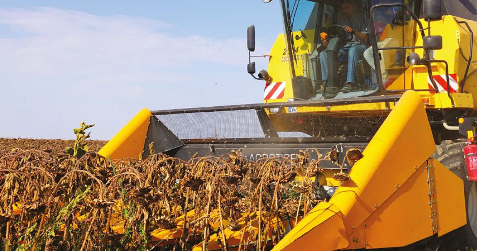 Sunflower harvesting header - AHT6 - AGRO TIGER - rigid