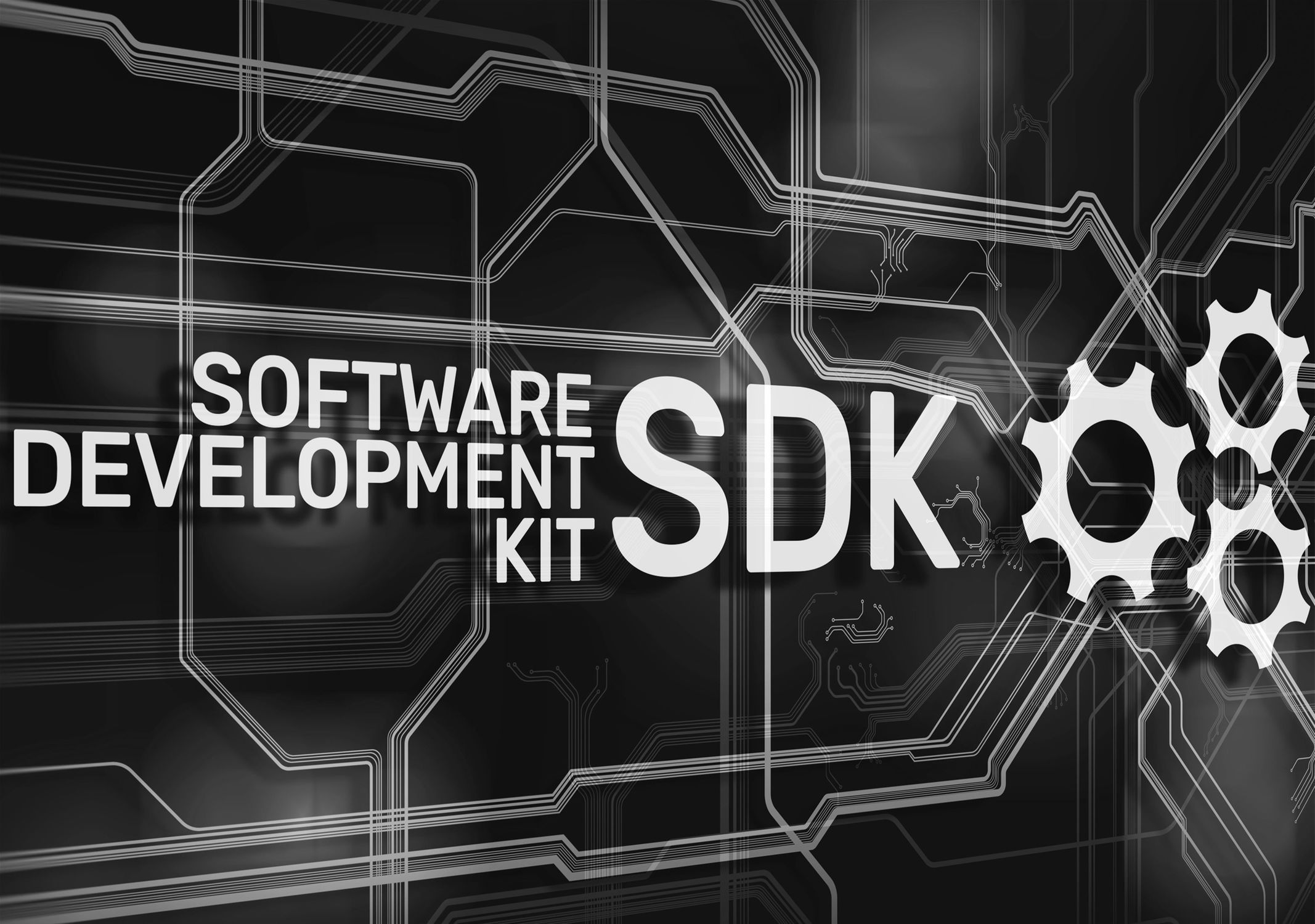 Management software - SDK - Ark Vision Systems GmbH & Co. KG - data ...
