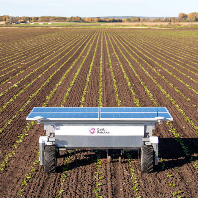 Weeding agrivoltaic robot - Dahlia Robotics GmbH - autonomous