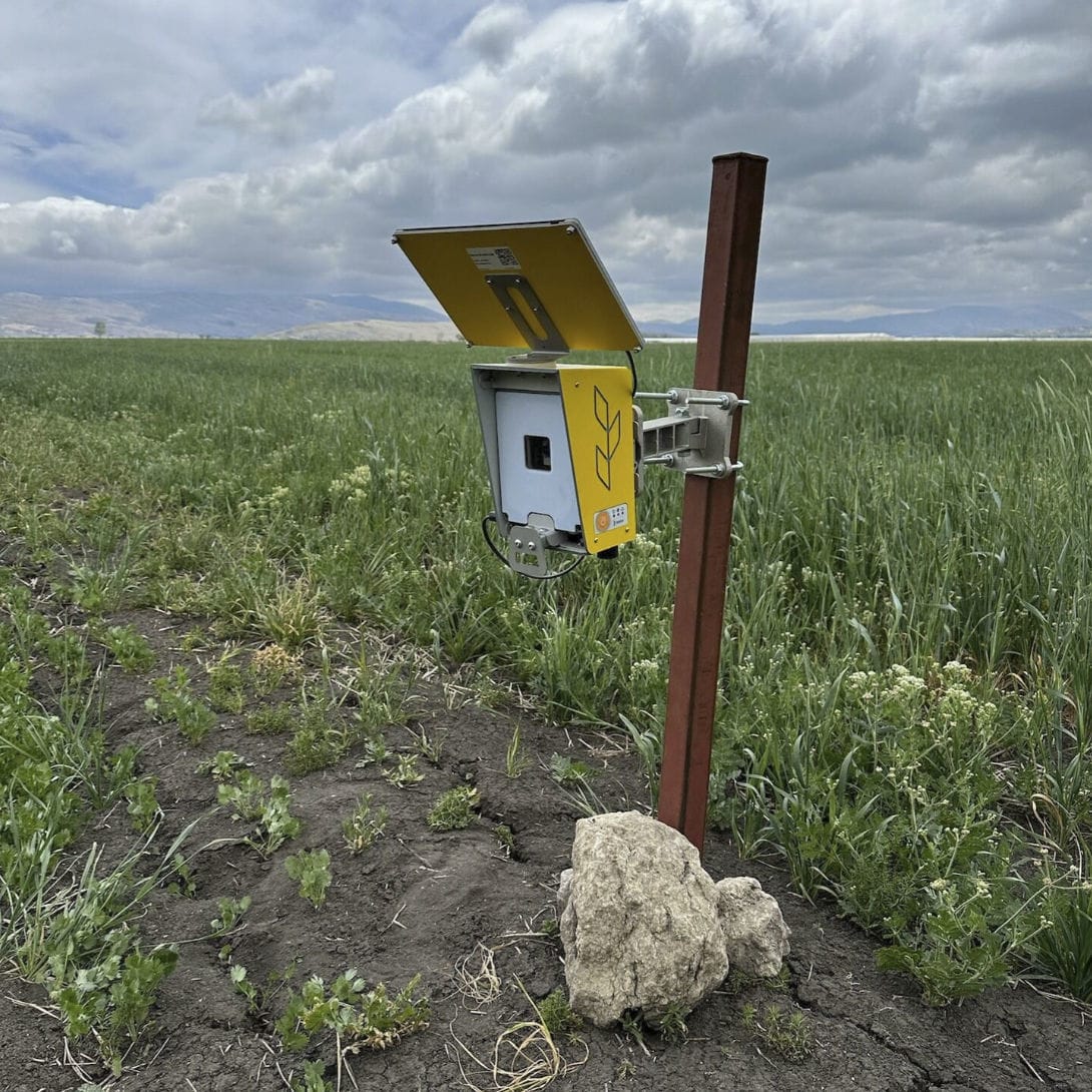 Surveillance camera - Doktar - for crops / wireless / real-time