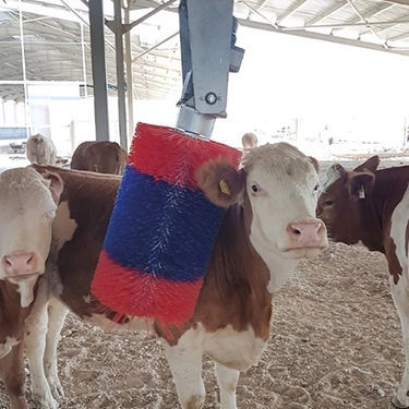 Livestock comfort brush - Rime Agri - rotating / cows / vertical