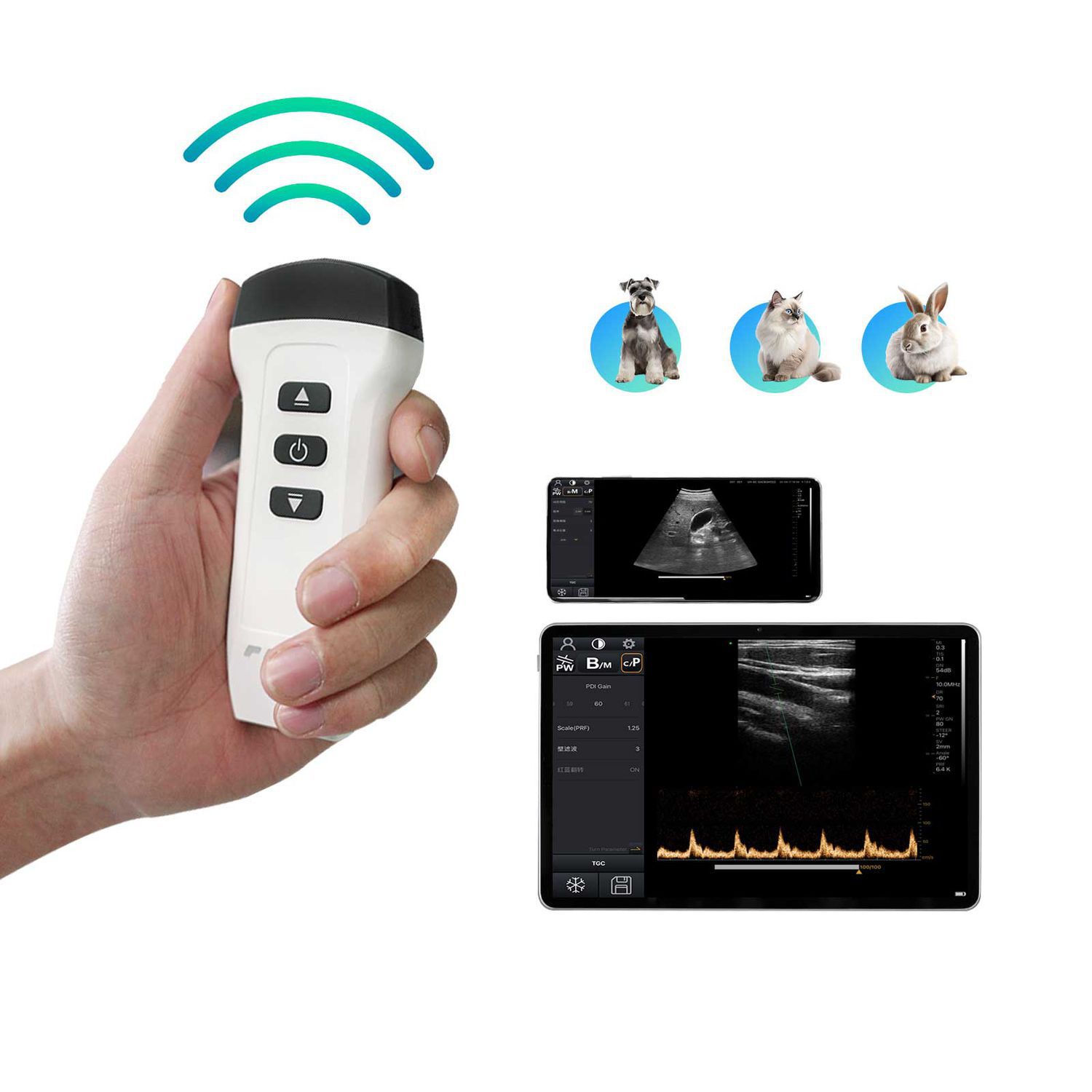 Hand-held veterinary ultrasound system - DW-X1 VET - Dawei Veterinary Medical (jiangsu) co., ltd ...