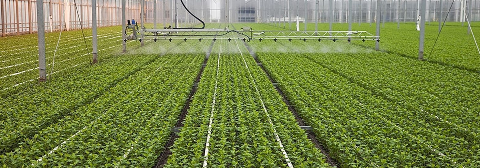 Greenhouse irrigation boom - Resif Greenhouse Technologies - hose-fed ...