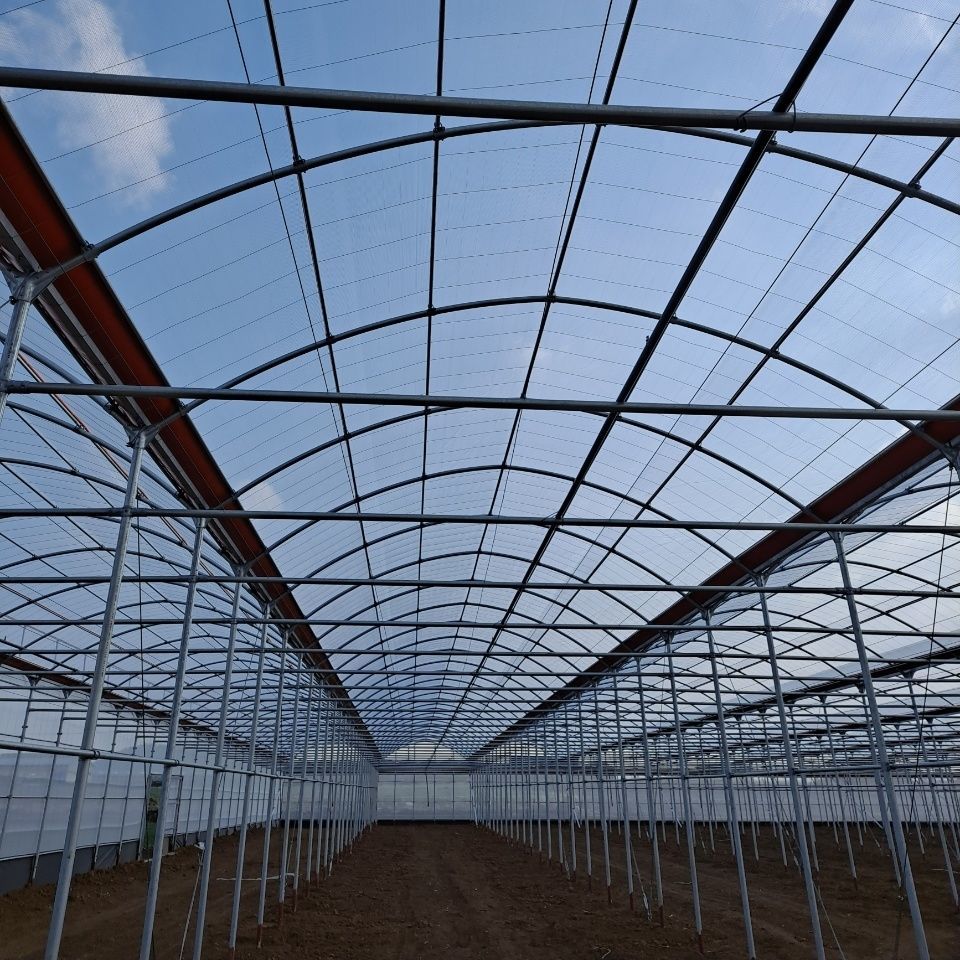 Shade netting - TYPE A - IRIFACTORY VINA - wind protection / insect ...