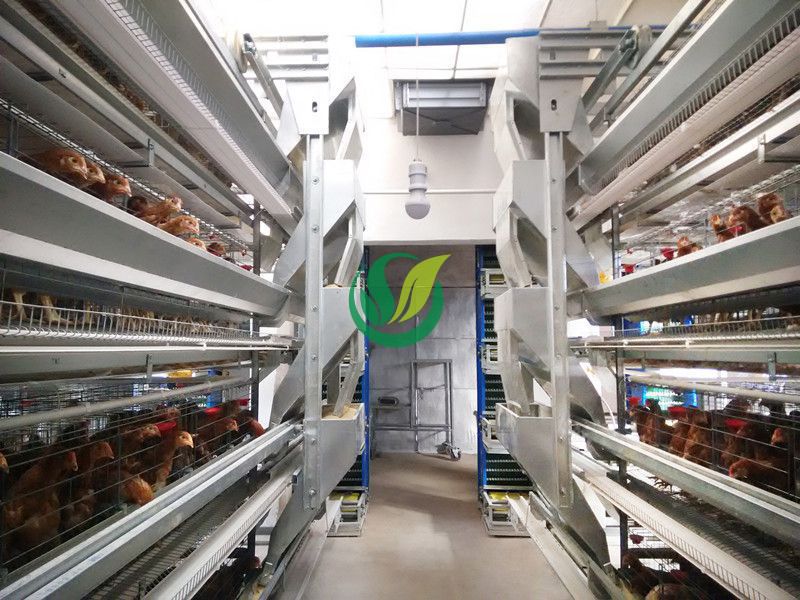 Chain automatic feed distribution unit - Chengdu Shengxing Poultry ...