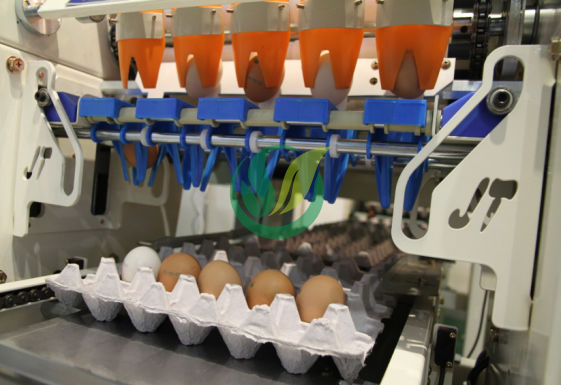 Egg packing machine - Chengdu Shengxing Poultry Machinery Co., Ltd ...