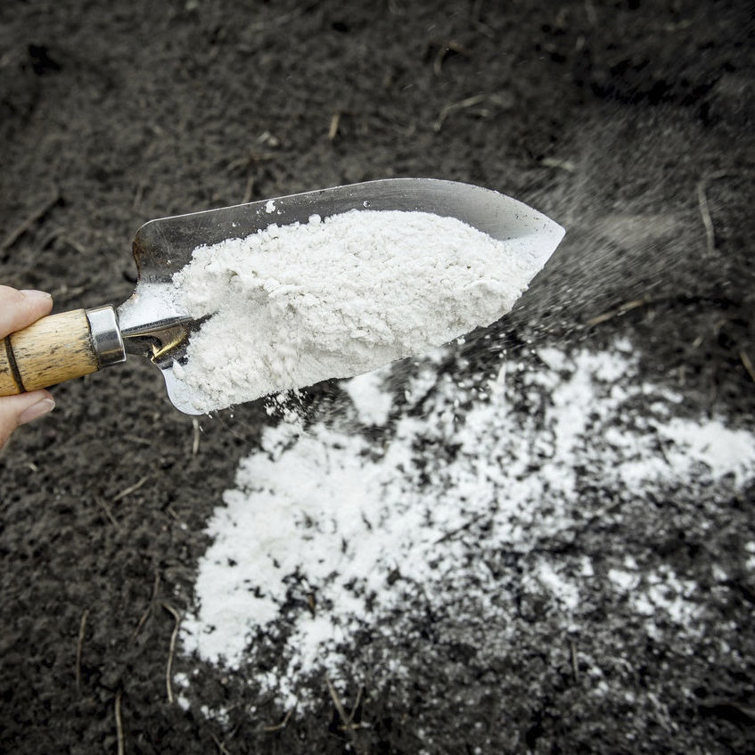 Organic amendment - Raw dolomite lime - Mineravi - against soil acidity ...