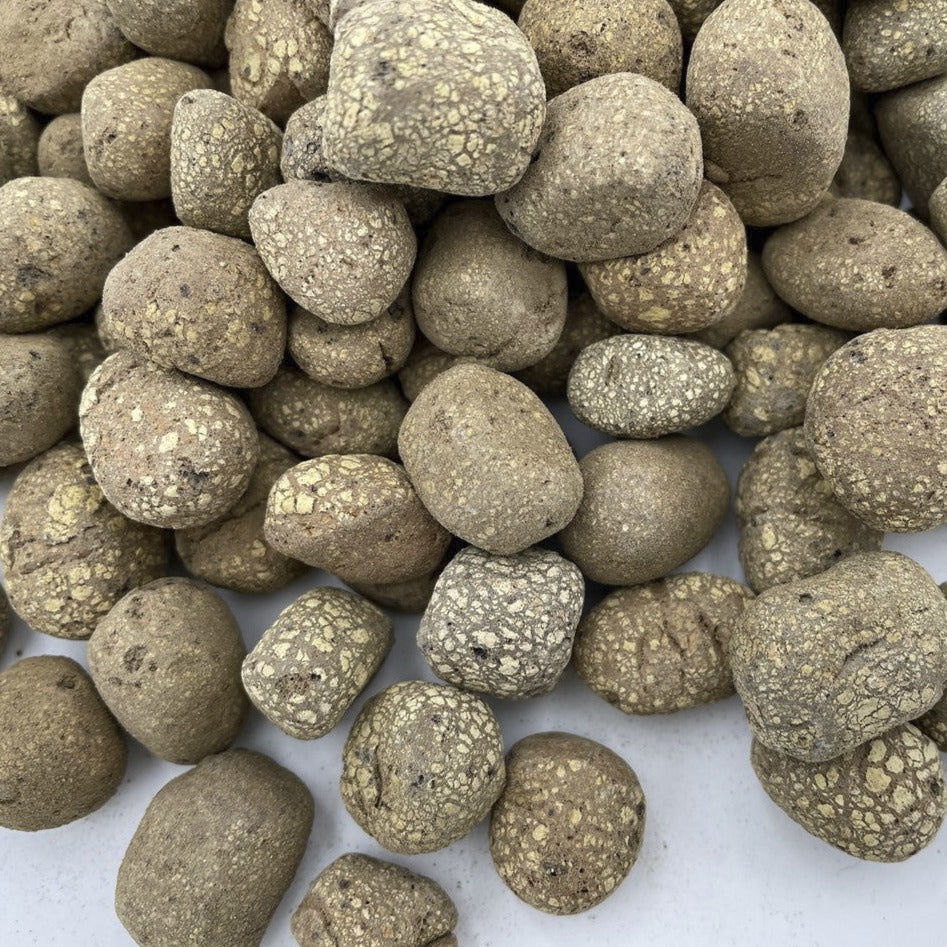 Expanded clay ball growing medium - Mineravi - bagged / coarse