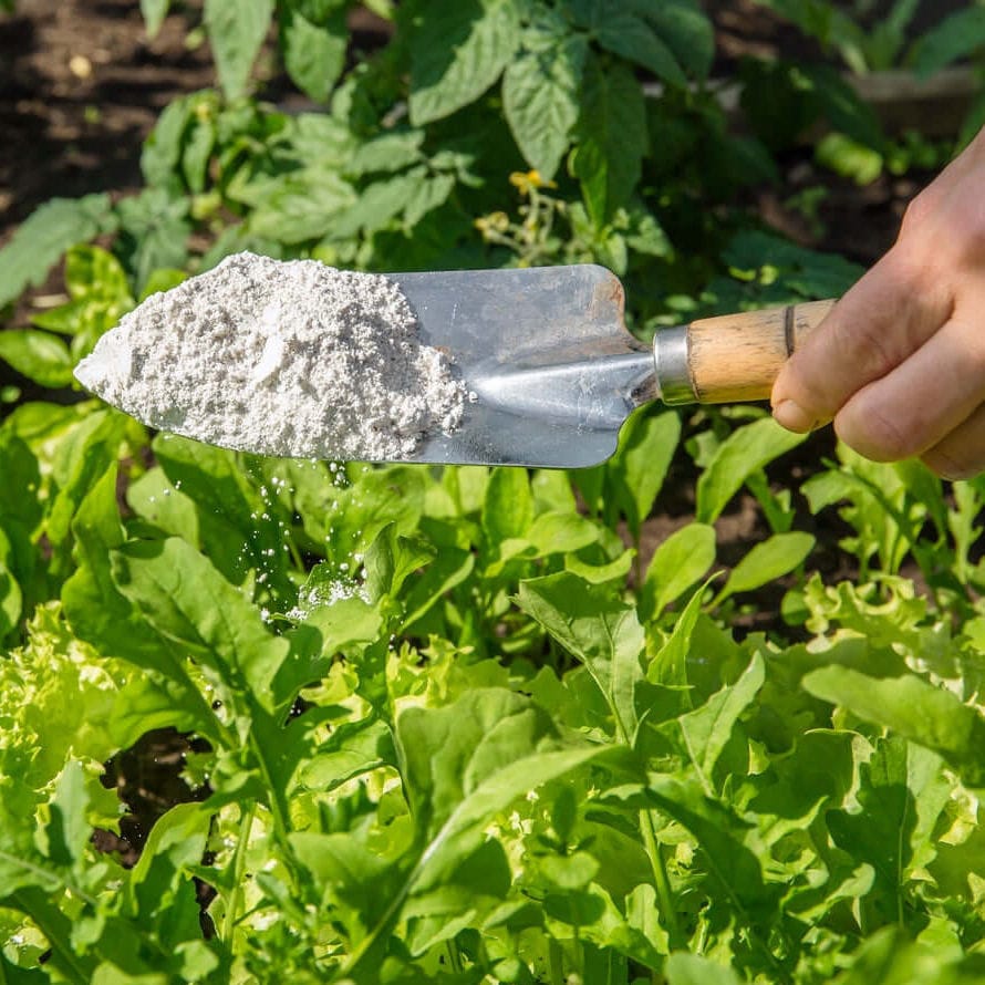 Mineral fertilizer - Diatom Earth - Mineravi - with trace elements ...