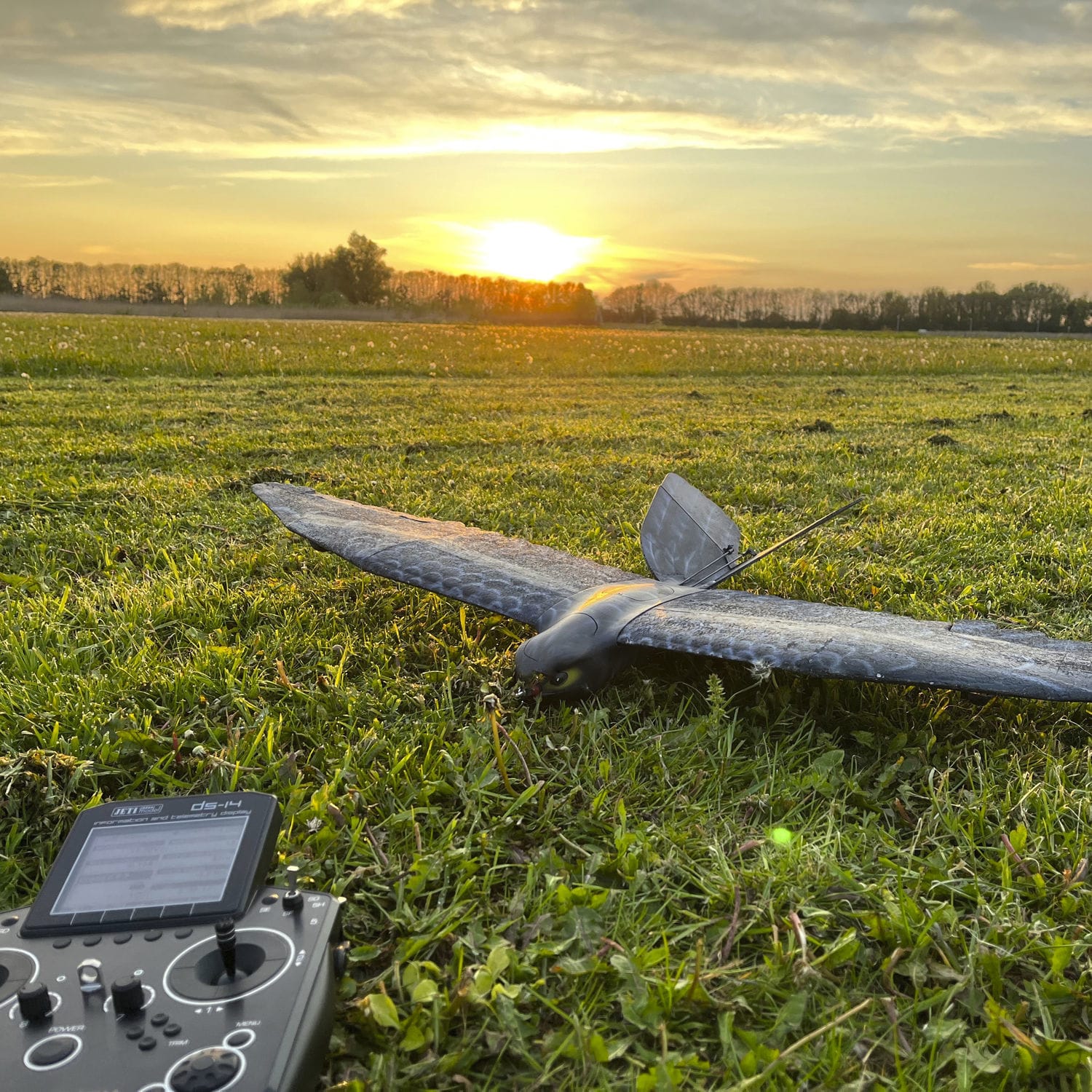 Fixed-wing agricultural drone - AVES SERIES Falcons - The drone bird ...