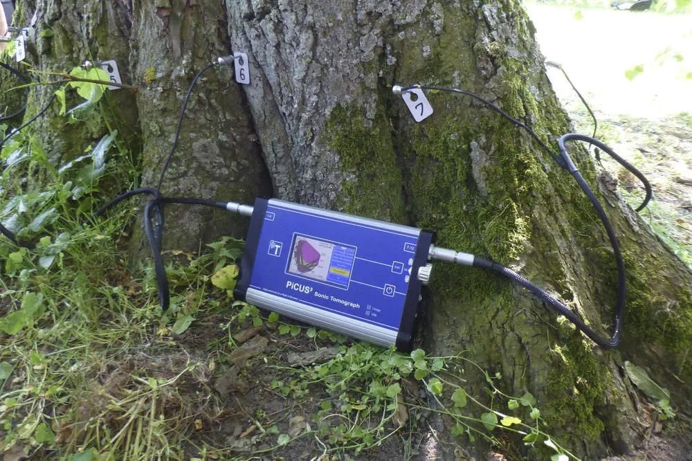 Tree sonic tomograph - PiCUS - IML