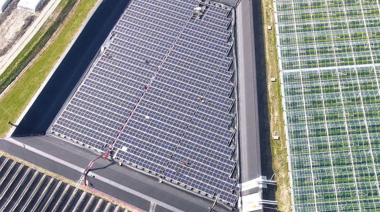 Black solar panel - Albers Alligator - for greenhouse