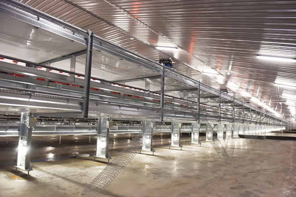 Cage-free aviary system - Open Aviary - POTTERS POULTRY LTD - for layer ...