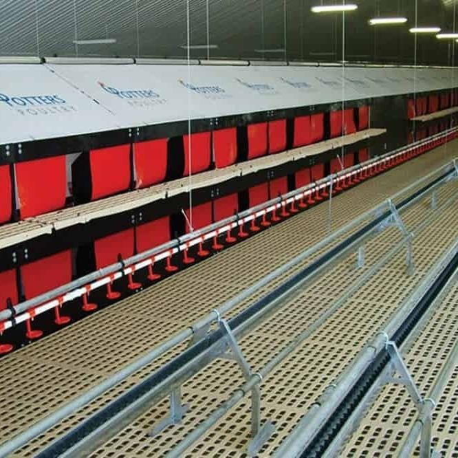 Layer hen nesting system for breeding birds - AVINEST - POTTERS POULTRY LTD