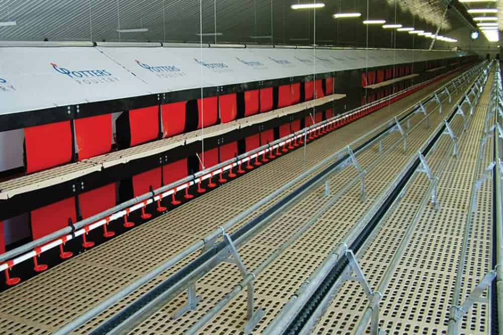 Plastic floor panel - POTTERS POULTRY LTD - steel / for poultry breeding