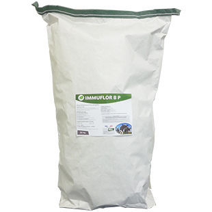 Animal feed supplement - IMMU FLOR B P - NUTRI-CONCEPT - cattle ...