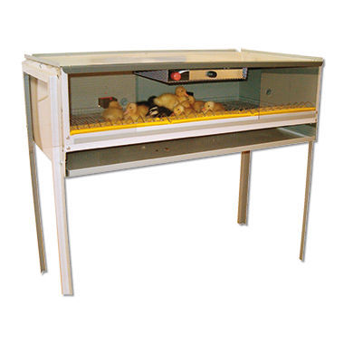 Poultry brooder - F.I.E.M. S.R.L. INCUBATORS & HATCHERS - multi-tier ...