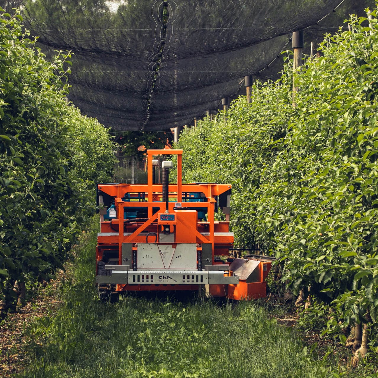 Robotic pruning machine - SLOPEHELPER - vineyard / for orchards / for ...