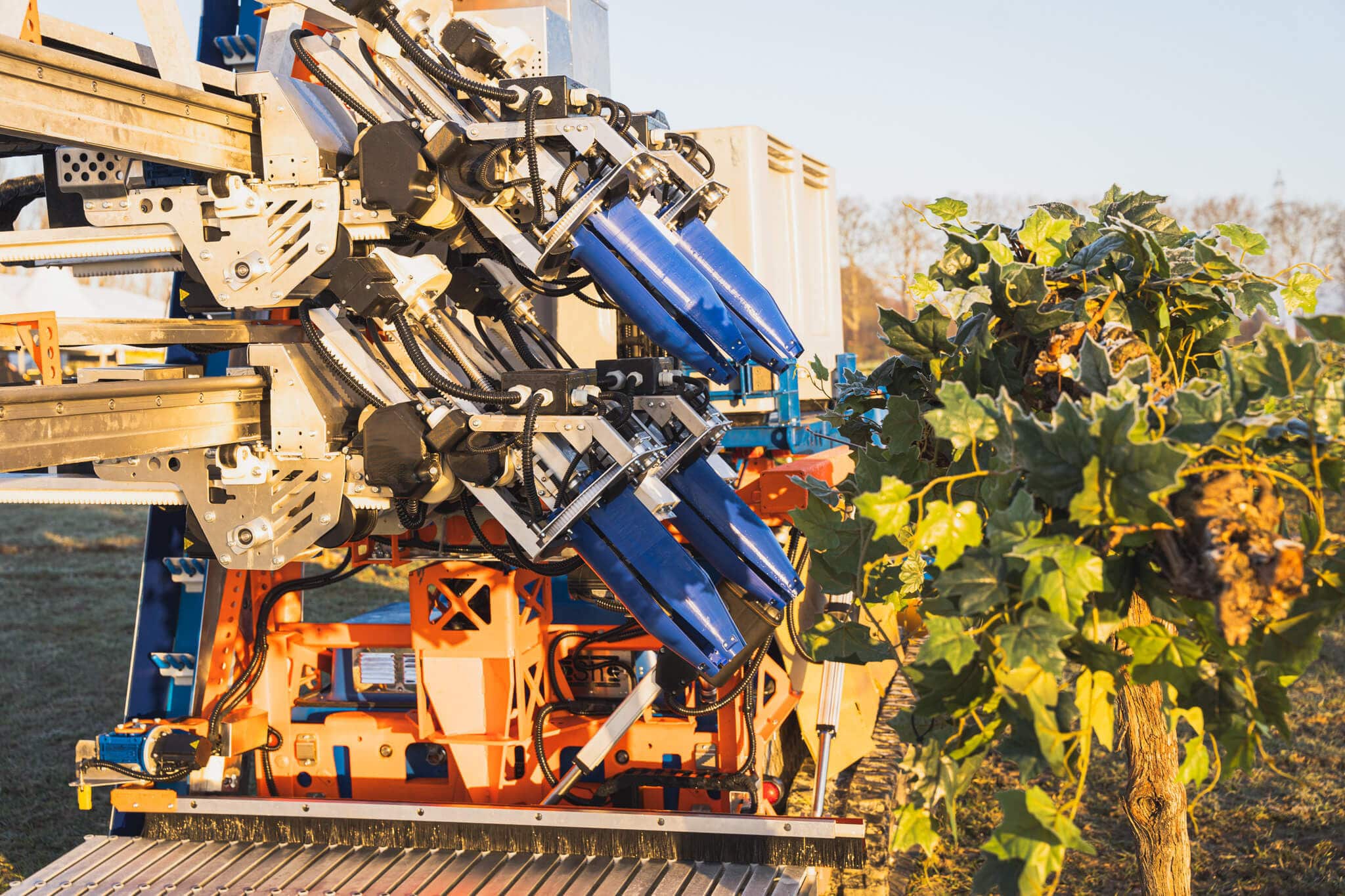 Grape fruit picker - SLOPEHELPER - robotic