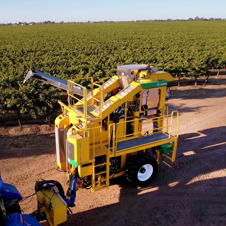 Towed grape harvesting machine - 620 - Oxbo - high capacity