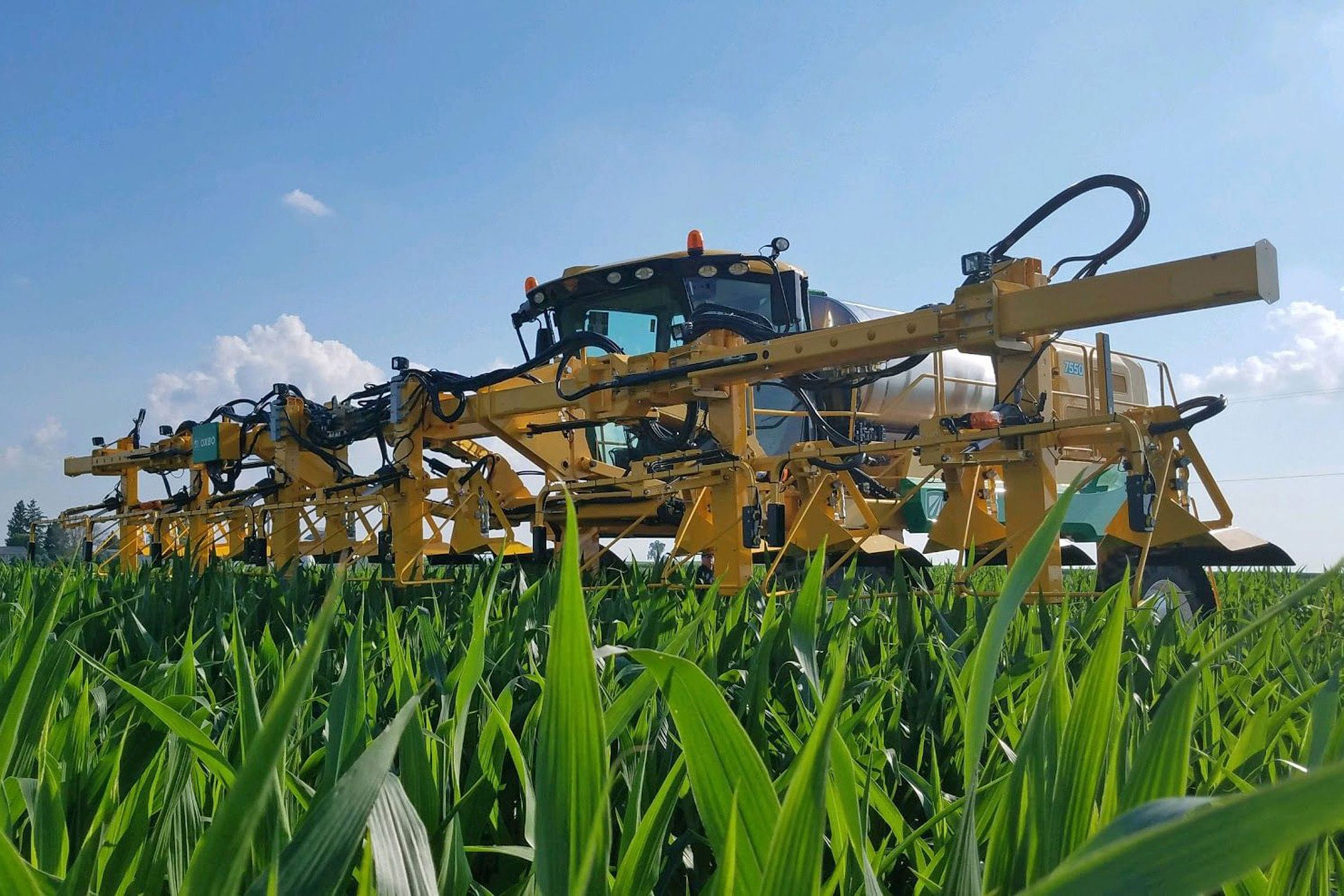 Self-propelled detasseler - TS4 - Oxbo - 12-row