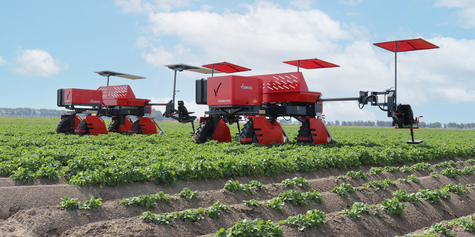 Potato sorter - Selecto - Vegniek BV - manual / with cleaning system ...