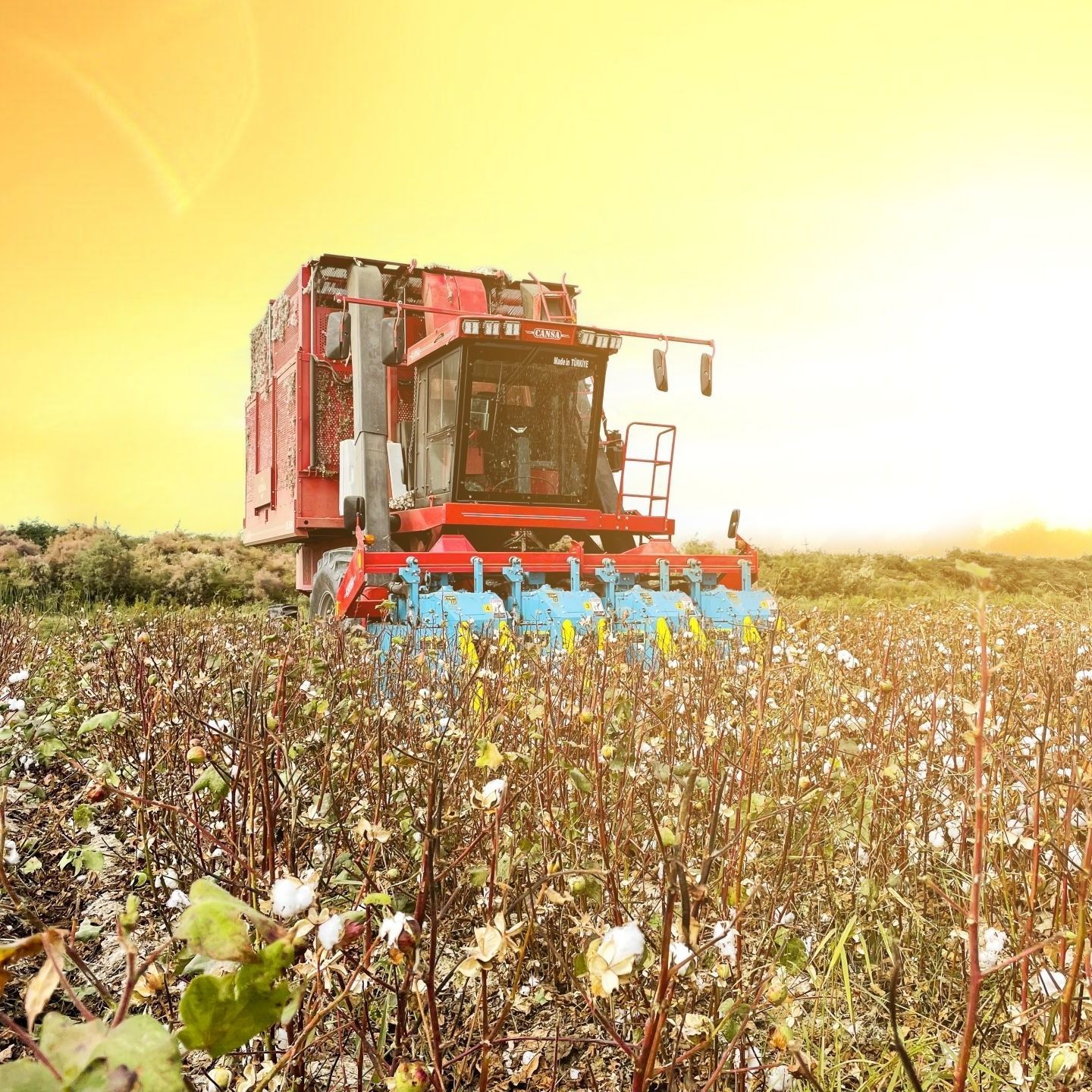 Spindle picker cotton picker - CH 334 - Cansa Tarim Makinalari A.S ...