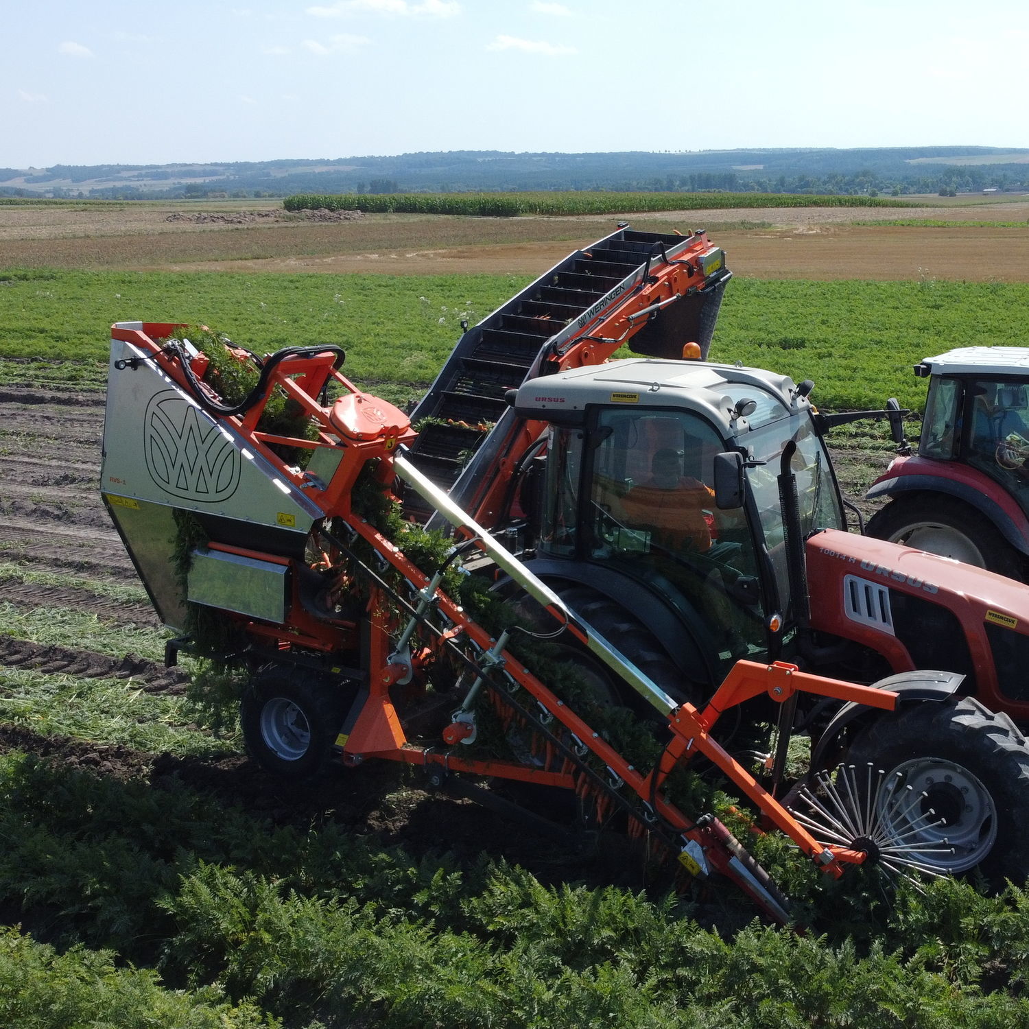 Carrot Harvester Grimme Carrot Harvester In Action