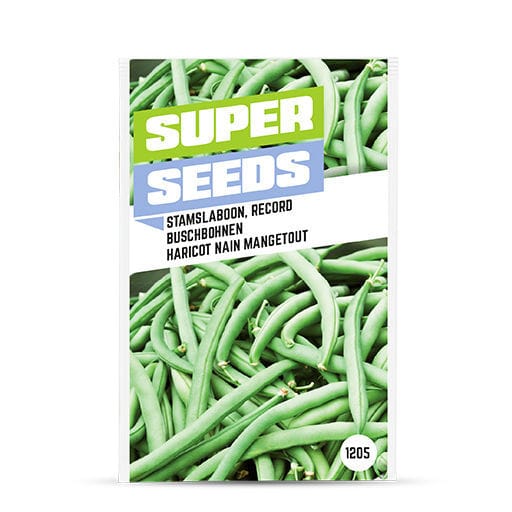 Green bean seed - 1205 - BAZA Seeds Holland b.v.