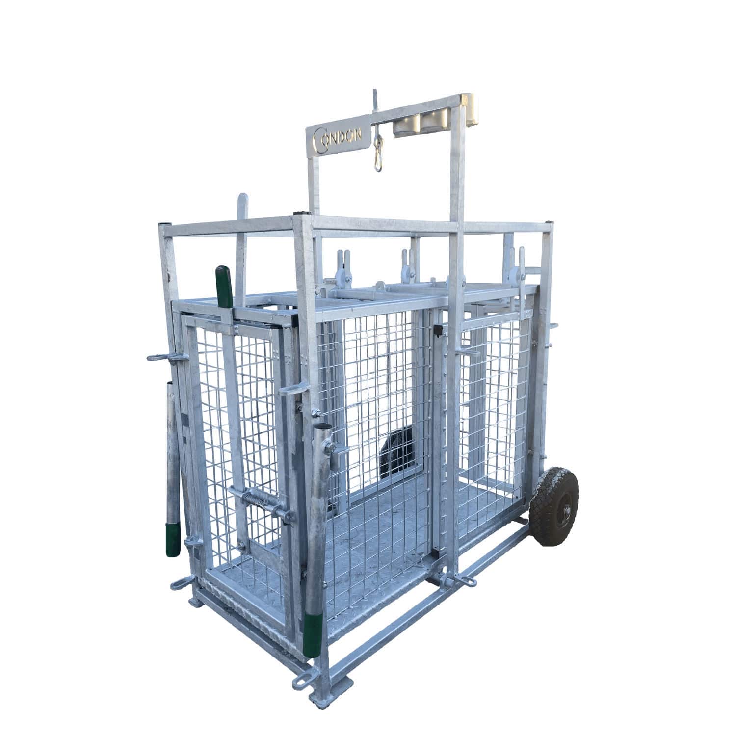 Sheep weighing system - Condon Engineering - digital / analog / platform