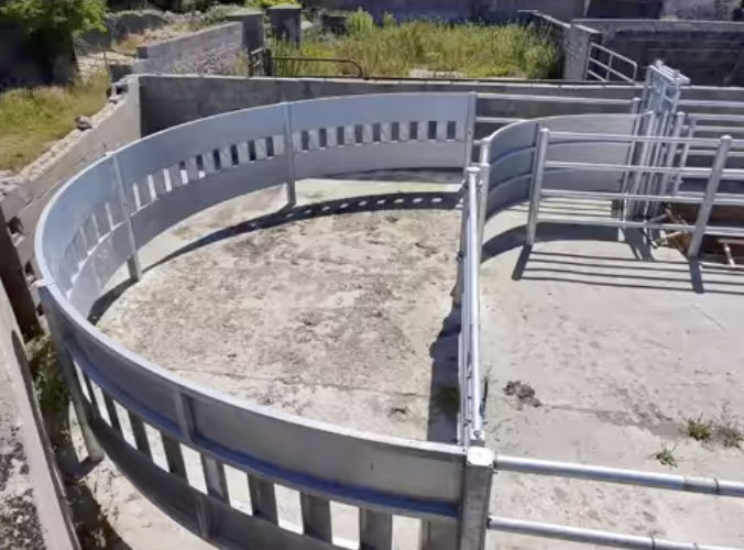 Forcing gate - Condon Engineering - livestock / stable / corral