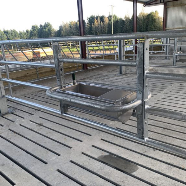 Calf drinker - Condon Engineering - cattle / trough / stainless steel