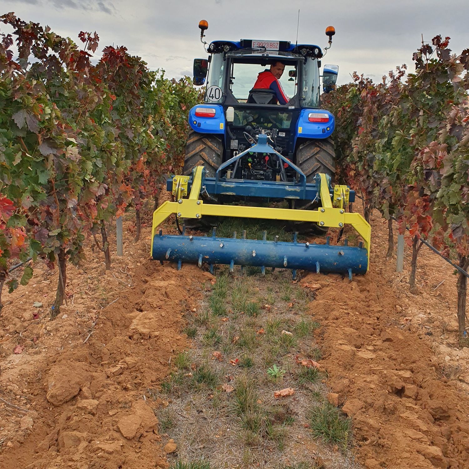Decompacting roller - MAQUINARIA AGRICOLA FERRO S.A - studded / vineyard