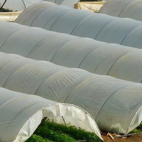 Greenhouse sheeting - GLAESERgrow - micro-tunnel / plastic / UV-resistant