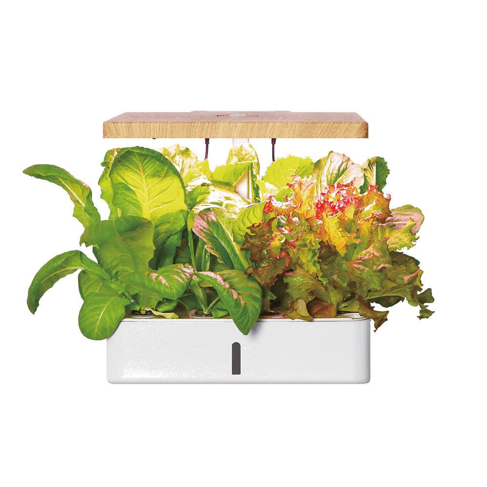 Automated hydroponic system - ROBIN - Resyx GmbH - Litrax - indoor ...