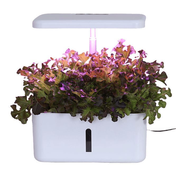 Automated hydroponic system - ALICE - Resyx GmbH - Litrax - for garden