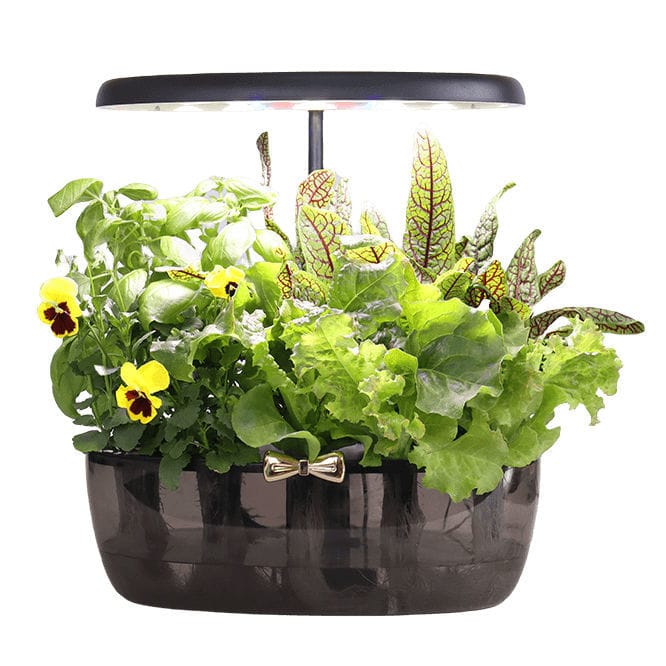 Automated hydroponic system - PETER - Resyx GmbH - Litrax - indoor ...