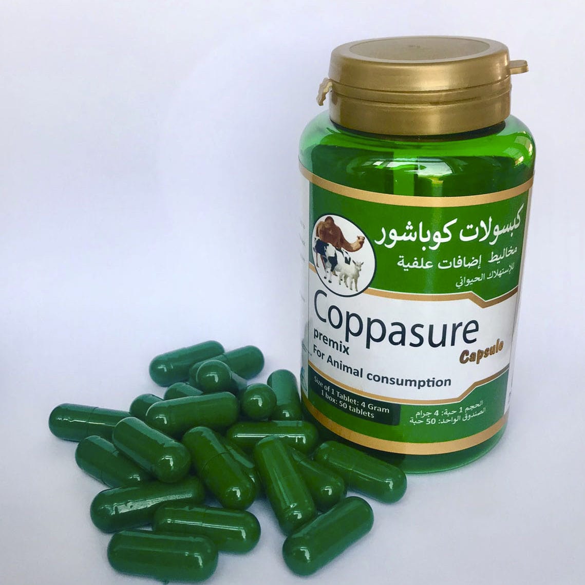 Copper bolus - Coppasure - Sanigma Dis. Tic. Ltd. Sti. - nutrition ...