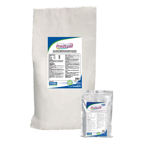 Animal feed supplement - BlueLite® Pro2Lyte - TechMix Europe - sow ...