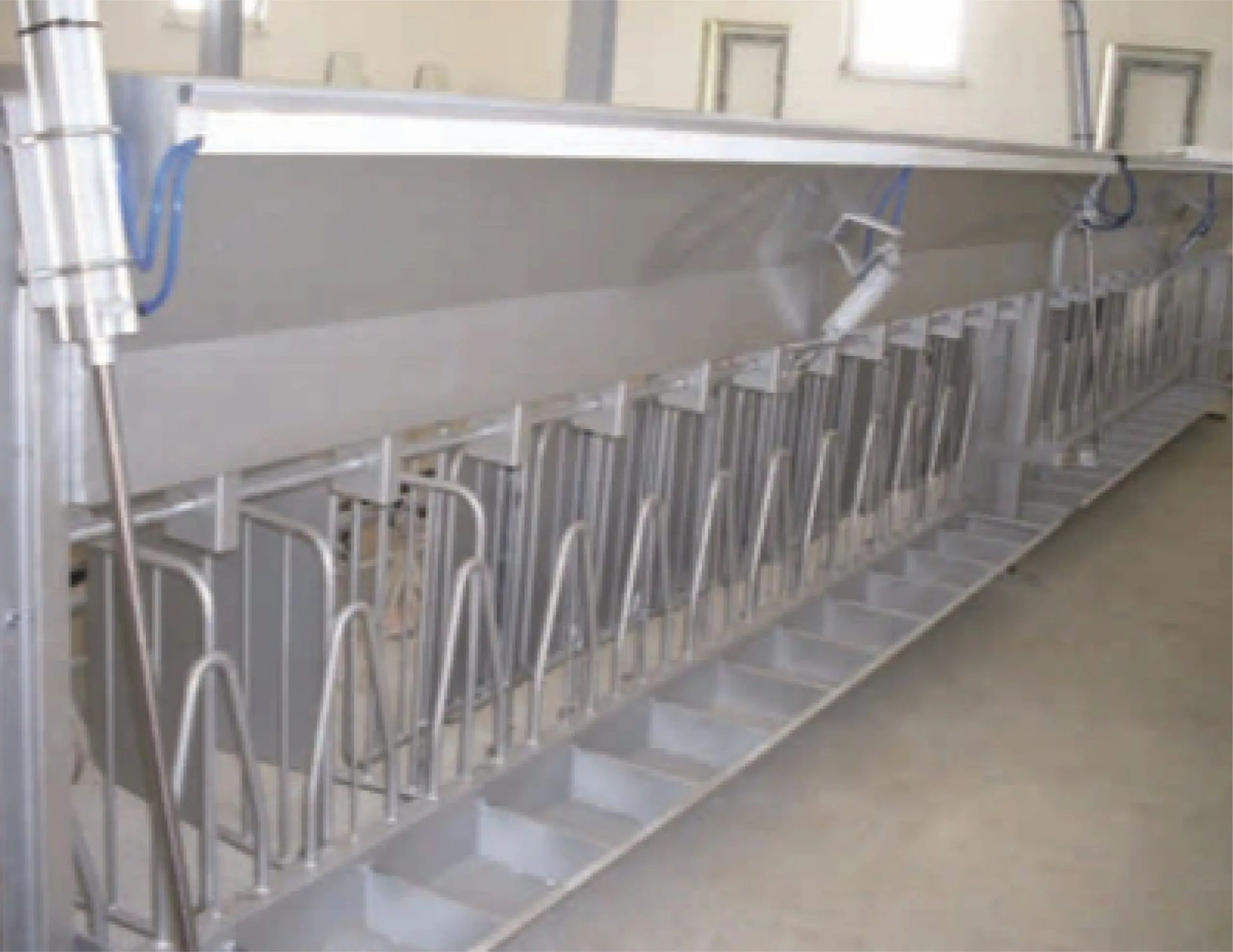 Sheep automatic feed distribution unit - Favorit Çelikkaleli - goat ...