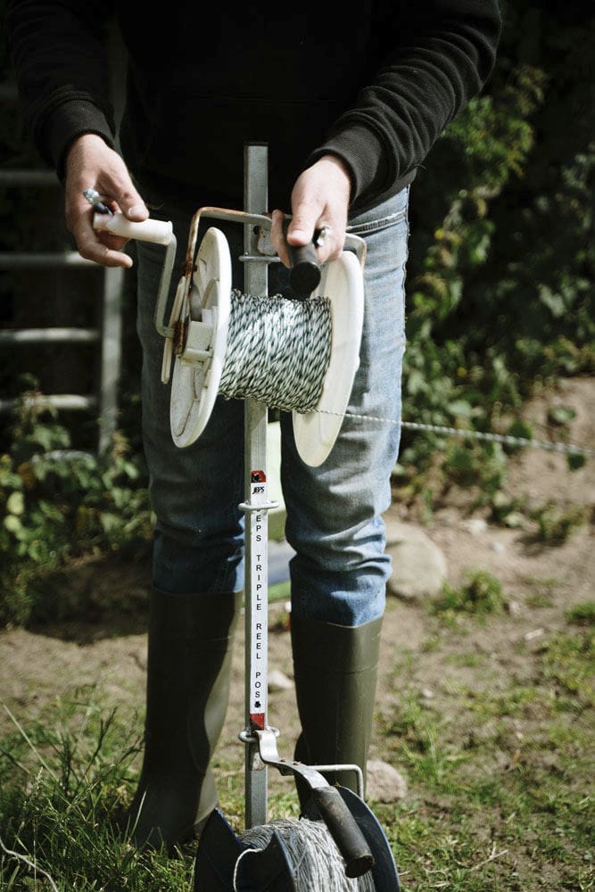 Fence post - JEPS Farm Safe Limited - metal / pasture / for animals