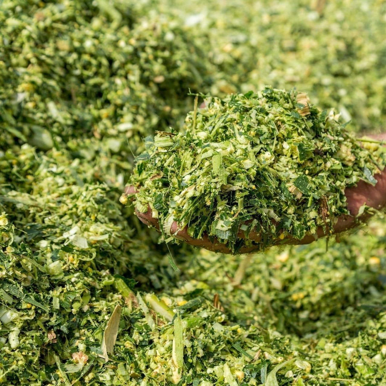 Silage additive - FIBROSIL - Novagrar GmbH & Co. KG