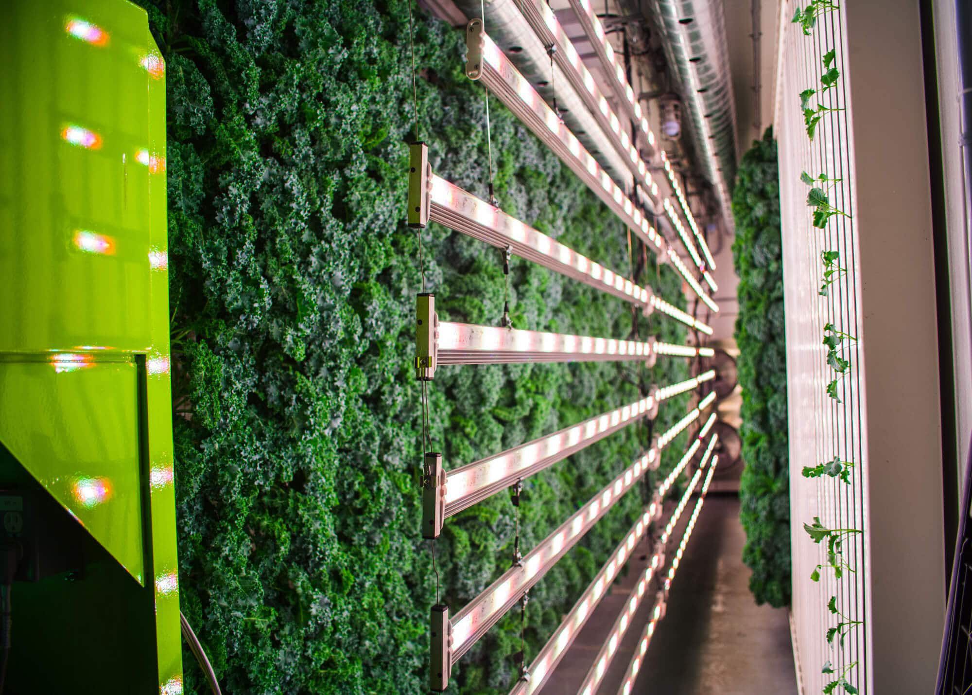 Containerized hydroponic system - ZipPod - ZipGrow - for large plant ...