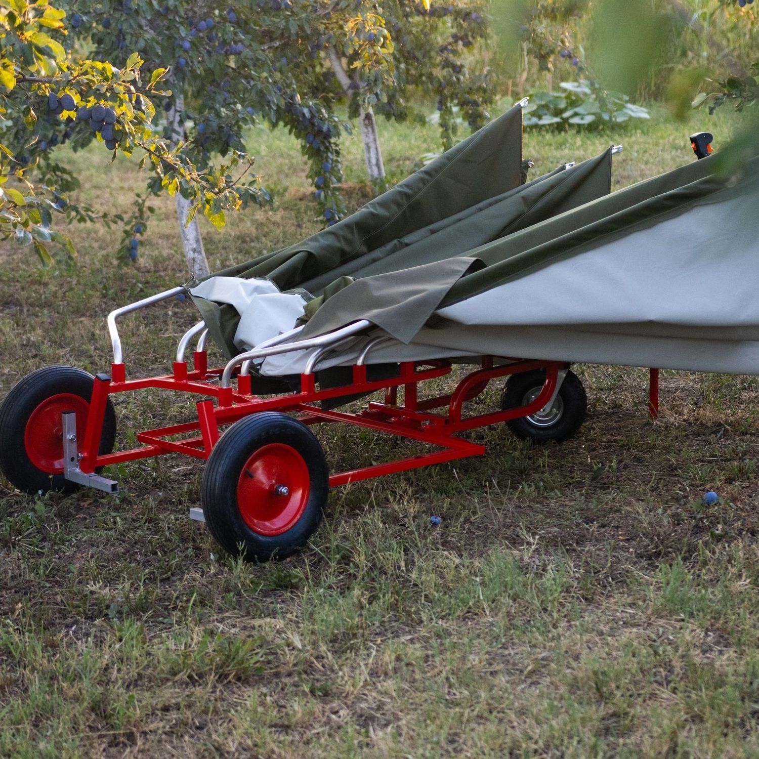 Walnut harvester machine - 04C25 - HARVEST - AGRAS D.O.O. - olive ...