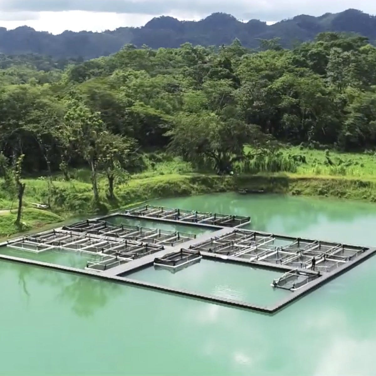 Aquaculture floating dock - CANDOCK - plastic / modular